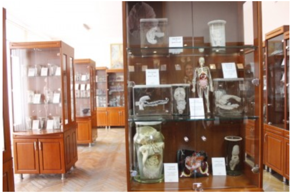 Muzeul de anatomie a omului | Universitatea de Stat de Medicină și ...